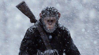 Man Vs Ape How Do We Fare Against Our Closest Cousins