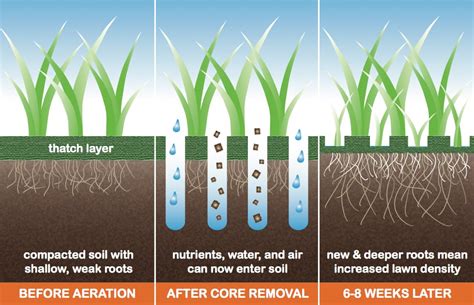 How To Use Aerators On Your Lawn Eagle Rentals
