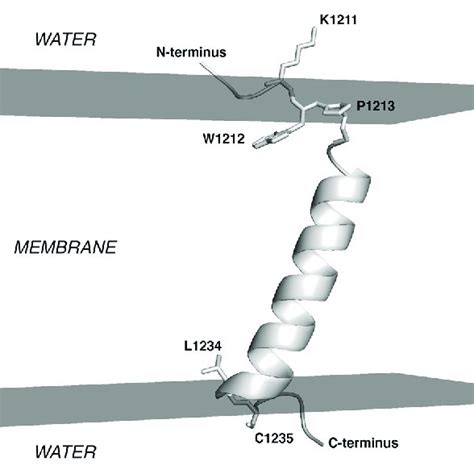 lowest energy state for monomeric s tmd derived via monte carlo