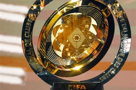 A Picada Da Maria Fedida é Perigosa Entenda Os Riscos E Cuidados Necessários Br