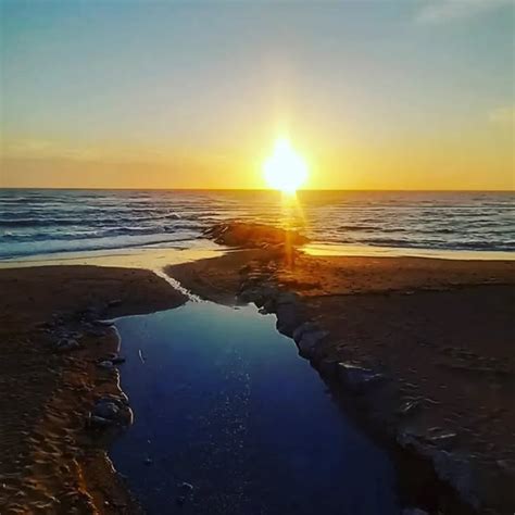 Alys De Angelis Alys Deangelis • Threads Say More