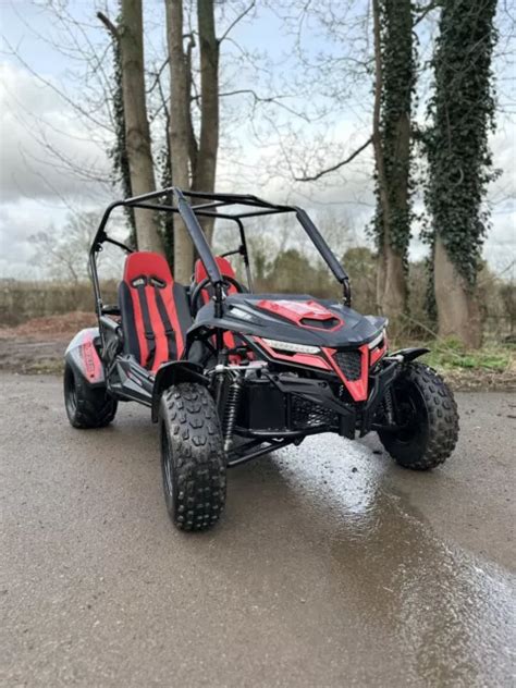 Quadzilla Tornado Teenagers Off Road Buggy 169cc £100000 Picclick Uk