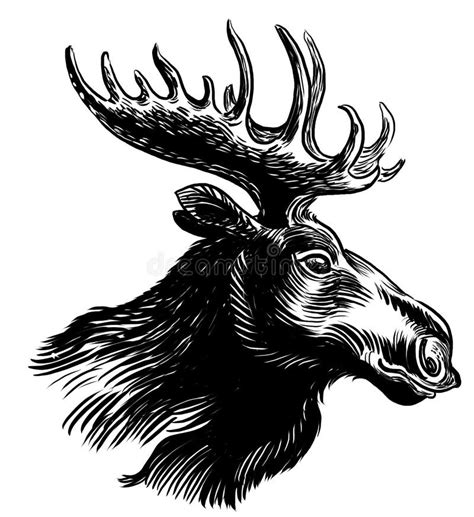 Animal De La Cabeza Del Moho Stock De Ilustración Ilustración De