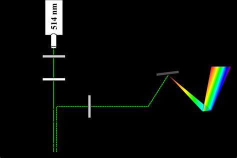 Microscope System For Backscattering Raman Spectroscopy Download