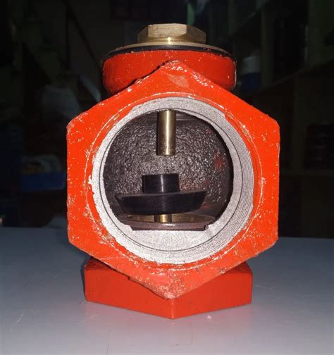 Cast Iron 2 Angular Check Valve Valve Size 20 Inch At Best Price