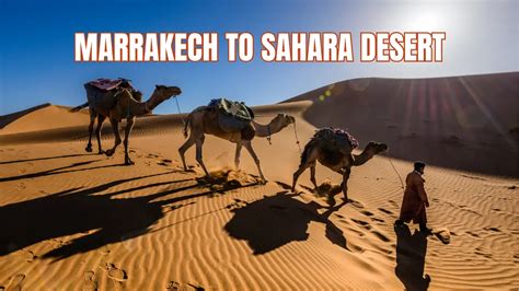 Marrakech To Sahara Desert 7 Day Itinerary Ultimate Morocco Road Trip