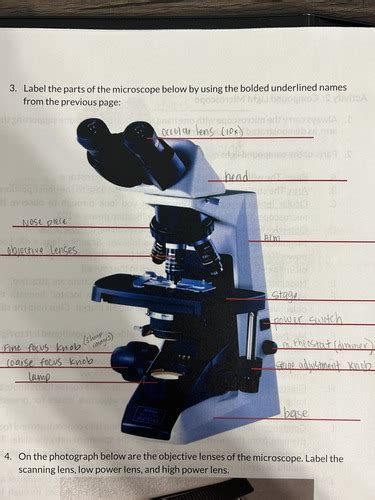 Biology 106 Lab Final Exam Flashcards Quizlet