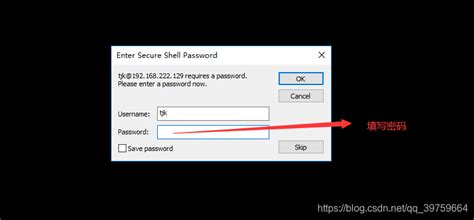 linux如何安装并连接securecrt securecrt linux安装 csdn博客