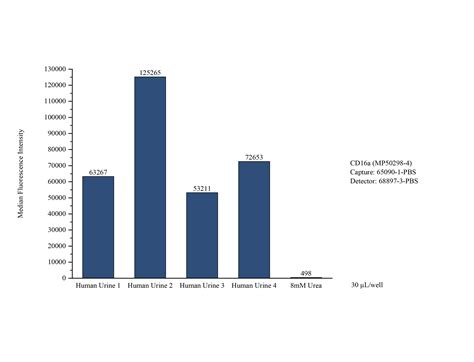 Cd16 Antibody 68897 3 Pbs Proteintech