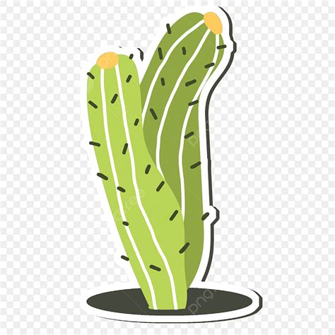 Cactus Verde Png Vectores Psd E Clipart Para Descarga Gratuita Pngtree