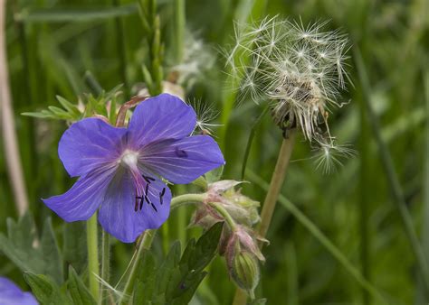 Красавица и чудовище Марина Назарова