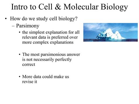 PPT Intro To Cell Molecular Biology PowerPoint Presentation ID