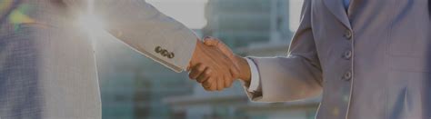 Shareholder Structure Electricity Generating