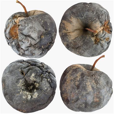Rotten Apple In Spanish Translate At Timothy Mears Blog