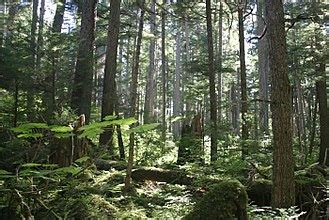 Bosque Nacional Tongass Wikipedia La Enciclopedia Libre
