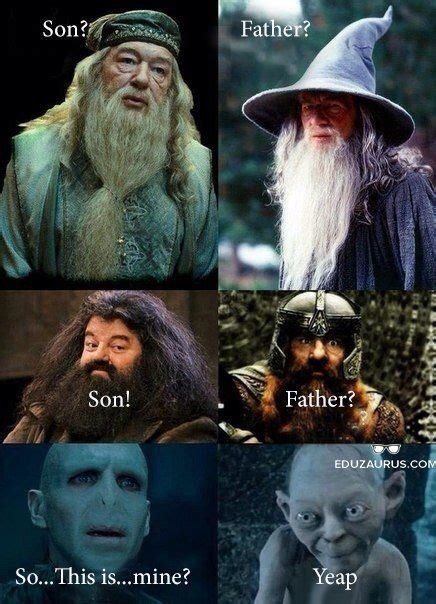 Lotr Harry Potter Memes 15 Harry Potter Lord Of The Rings Crossover