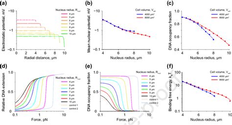 Nuclear Electrostatic Potential And Nucleosome Stability As Functions