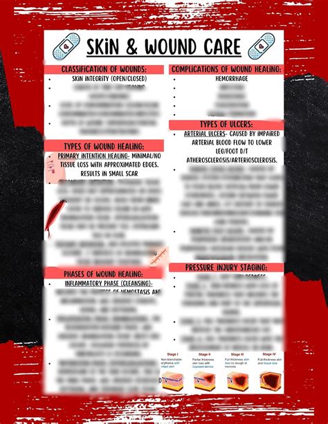 Skin And Wound Care Nursing Study Guide Pdf Download Etsy