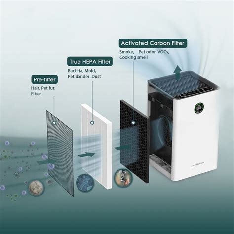 Best Air Purifiers To Transform Your Homes Air Quality Architectures