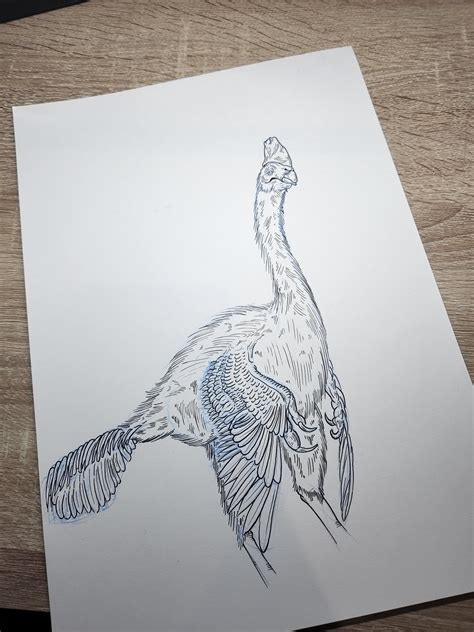 Drawing I Did For My Gf Rpaleoart