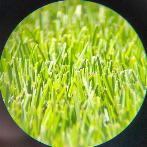 Kyle Schroeder Youtube