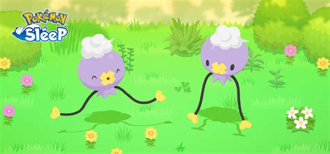 Pokémon Sleep Surprise Drifloon Debut Pokémon Go Hub