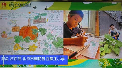 北京市少年宫第五届 金蕊”自然笔记活动启动北京时间