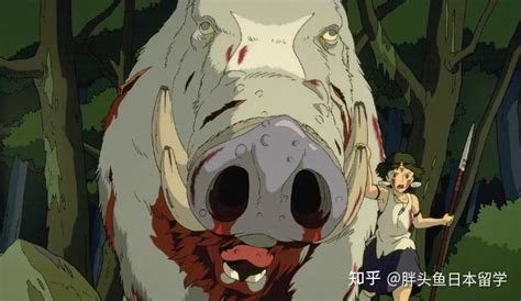 用北海道本土民族的视角来了解《幽灵公主》 知乎