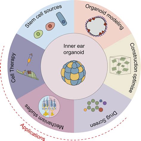 Smart Medicine Vol 3 No 1