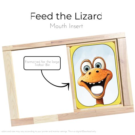 Feed The Lizard Drop And Learn Activity Pack Drop And Learn Activity P