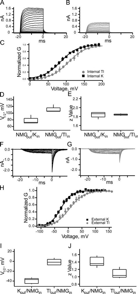 Gating Effect From Internal Permeant Ions A Currents From An