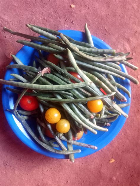 Daniel Chibwe On Linkedin Lets Solve The Problems At The Grassroot