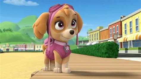 Paw Patrol Characters Unveiled Meet The Real Life Dog Breeds Behind