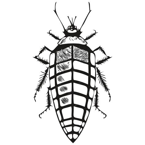 Premium Vector Cockroach Vintage Illustration Black And White Vector Art Cockroaches