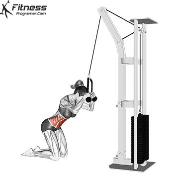 How To Kneeling Cable Crunch Benefits Muscles Worked Artofit