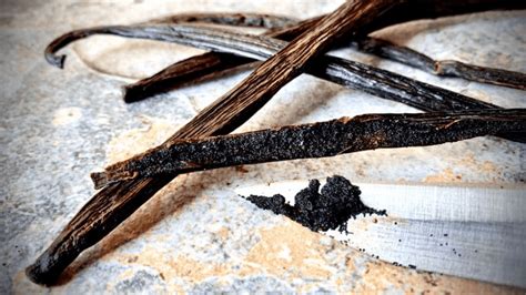 Types Of Vanilla Products Which Type Of Vanilla Product You Should Use