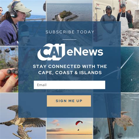 New Plan For Joint Base Cape Cod Could Put Housing On Surplus Land Cai