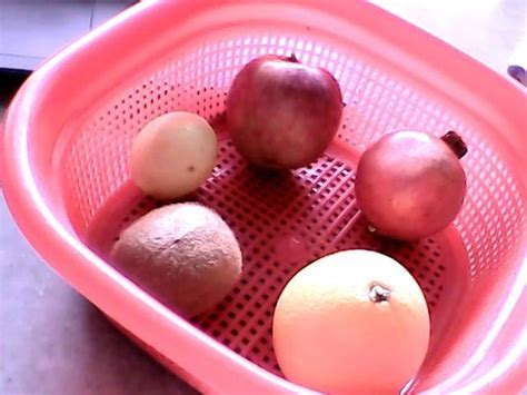 Project2 Instance Segmentation Dataset By Dataset