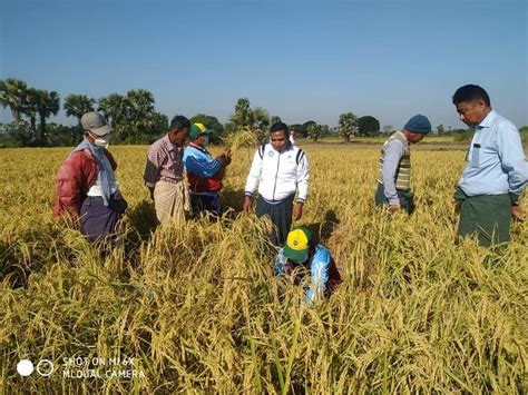 စစ်ကိုင်းတိုင်းဒေသကြီး၊ မုံရွာခရိုင်၊ ချောင်းဦးမြို့၌ ကိုဗစ် ၁၉ စီးပ