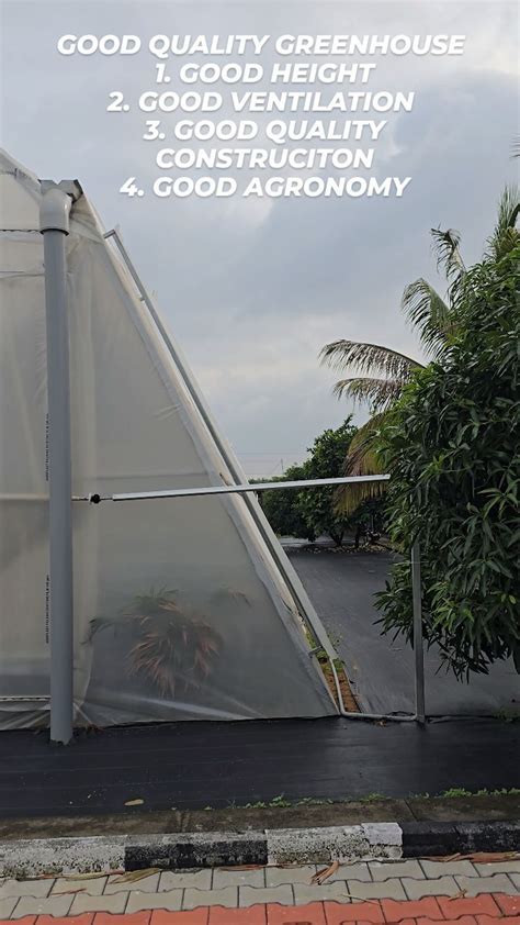 Rajeeb Kumar Roy Imrajeebroy • Instagram Photos And Videos