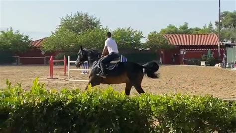 Alkb Stables Kentavros Acharne