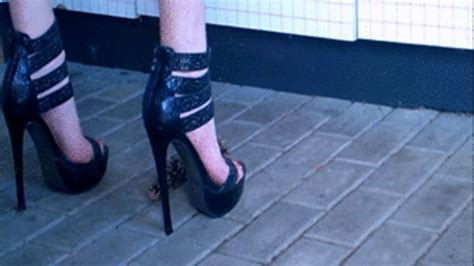 Pine Cone Crush Full Hd 1080p Mp4 Dianas Fetish Lounge Clips4sale