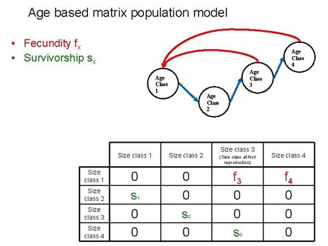 Matrix Population Models Life Tables Intro To Matrix