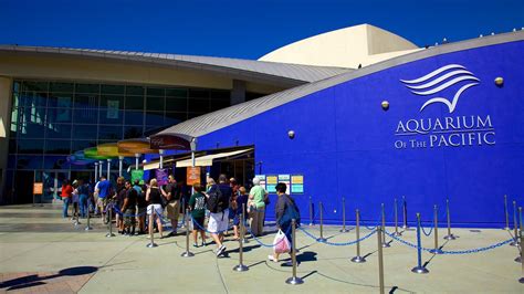 Aquarium Of The Pacific In Long Beach California Expedia