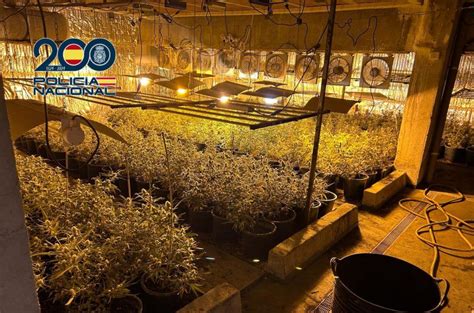 La Policía Nacional Desarticula En Valencia Una Organización Criminal