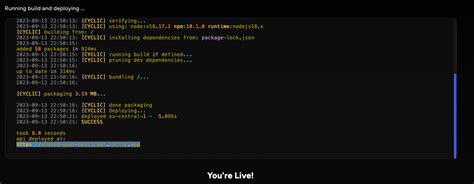 How To Deploy Your Node Js App For Free With Cyclic