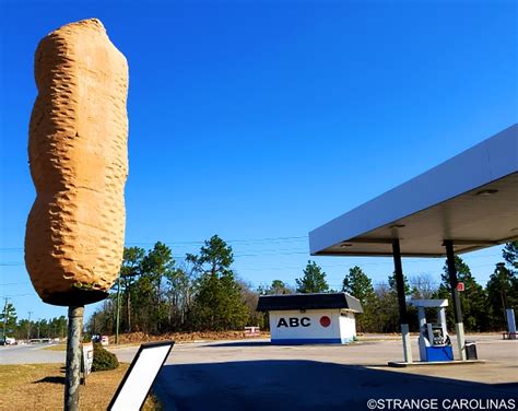Prodigious Pelion Peanut Pelion Sc Strange Carolinas The