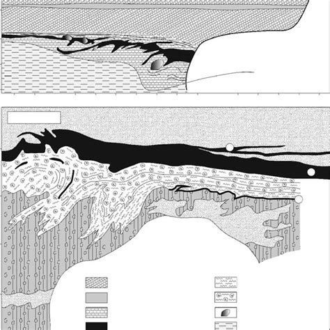 Troels Smith Classifi Cation Codes Troels Smith 1955 For The Download Table