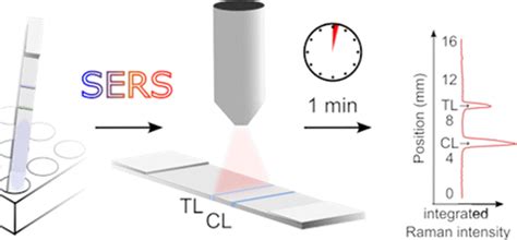 Rapid And Sensitive Sers Based Lateral Flow Test For Sars Cov2 Specific Igmigg Antibodies