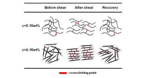 Schematic Illustrations Representing The Rheopectic Behavior For Sacran